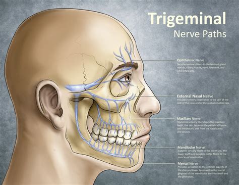 Getting Started With Trigeminal Neuralgia My Trigeminal Neuralgia Story
