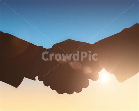 손 악수 비즈니스 비즈니스맨 사업 사진이미지일러스트캘리그라피 Njunghc1작가