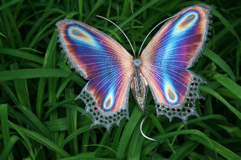 Download A Colorful And Beautiful Butterfly Fluttering By