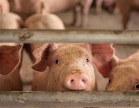 Sarahmariee Sex I Made The Appointment Through Hx Having