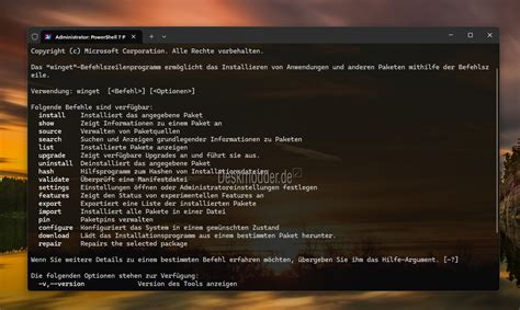 Winget Windows Package Manager 1 7 10661 Korrigiert Probleme Mit