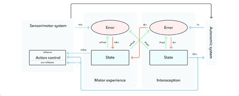 Graphical Representation Of The Interaction Between Interoception And