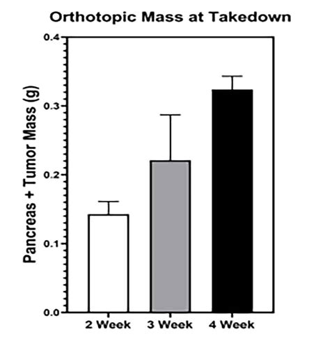 Pdac Mouse Model Ichor Life Sciences