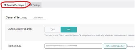 LiteSpeed Cache Configuration A Complete Steps Guide DigiBiscuit