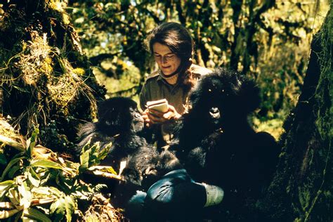 The Renegade Scientist Who Taught Us To Love Gorillas