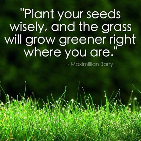 Grass With The Quote Plant Your Seeds Wisely And The Grass Will Grow Greener Right Where You Are