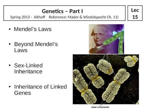 Ppt Mendels Laws Beyond Mendels Laws Sex Linked Inheritance Inheritance Of Linked Genes