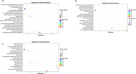 Go Enrichment Analysis Of Differential Proteins In B Vs C A The Top