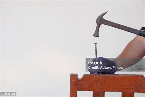 근접 촬영 목수 손 망치를 사용하여 못을 칩니다 개념 목공 및 건설 도구 수리 또는 고정 Diy 목공예 Diy에 대한 스톡 사진 및 기타 이미지 Istock