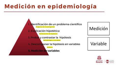 Cualitativa Continua
