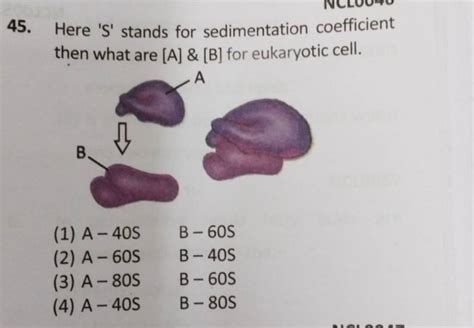 Here S Stands For Sedimentation Coefficient Then What Are A And B Fo
