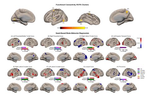 Intrinsic Functional Connectivity Correlates Of Associative Memory Download Scientific Diagram