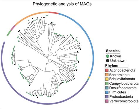 Metagenomics Datasets Of Water And Sediments From Eutrophication