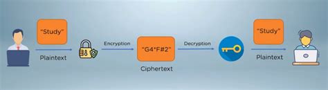 Safeguarding Sensitive Data A Guide To Encrypting Data In Databases