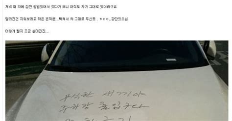 무식한 Xx야 주차장 출입구다 주차금지 출입구 막아선 주차 차량 응징
