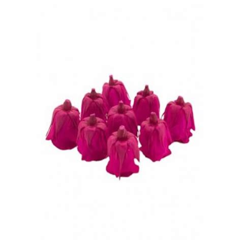 Стабилизирани Рози Розови от Plants Bg с отлична цена