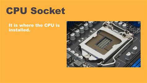 Computer Parts And Functions Pdf