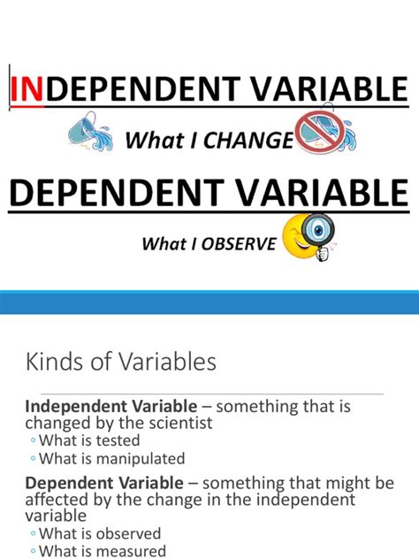 Identifying Variables Practice Ppt Ppt Experiment Dependent And