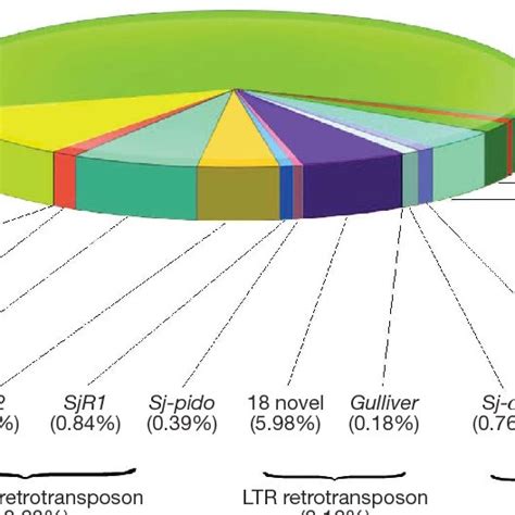 The Distribution Of Categories And Composition Of Repeat Elements In Download Scientific