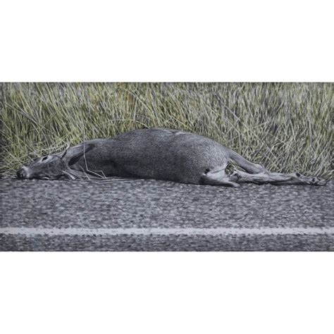 Cindy Wright Artwork For Sale At Online Auction Cindy Wright Biography And Info