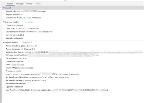 Websocket 连接时缺失 Header Authorization · Issue 13486 · Nervjstaro · Github