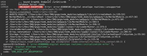 Runtime Crash 0308010cdigital Envelope Routinesunsupported · Issue