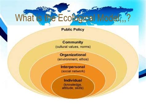 Ecological Model