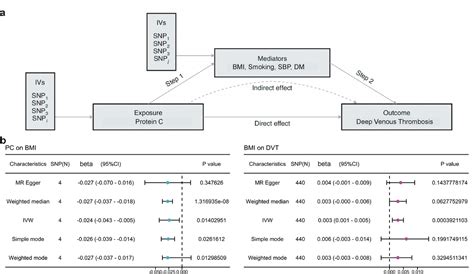 Bidirectional Two Sample Mendelian Randomization Analysis Identifies