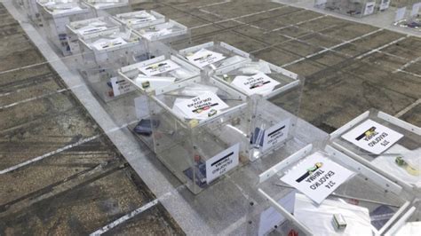 Парламентарните избори в Гърция ще се проведат по нови правила Посоки БНР Новини