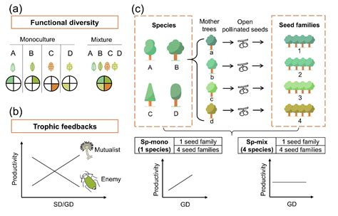 Forests Found To Benefit From Tree Species Variety And Genetic Diversity Flipboard