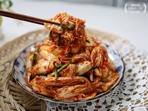 알배기 배추겉절이 만드는 법 알배추 겉절이 양념 여름 배추김치 담그기 네이버 블로그