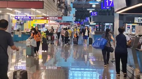 出國爆量 桃機預估端午連假每日旅運量13萬人次｜四季線上4gtv