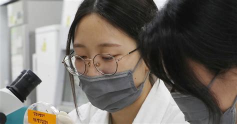 경기도 4~10월 말라리아 선제적 대응 위해 ‘말라리아 매개모기 감시사업 실시