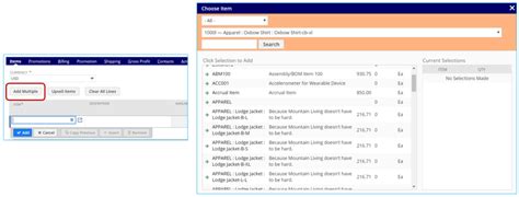 Netsuite Tips And Tricks Advanced Product Searching On Transaction Lines Rsm Technology