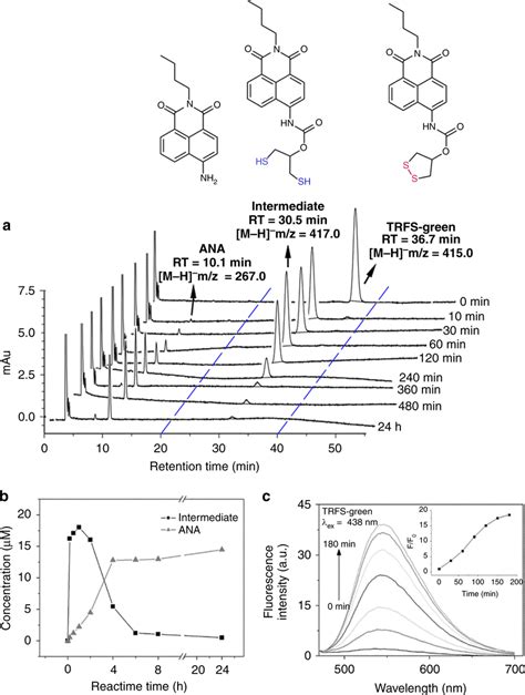 Stepwise Activation Of Trfs Green By Tcep A Trfs Green 20 μm Was Download Scientific Diagram