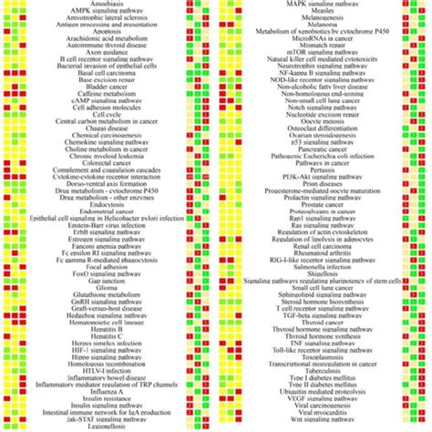 Ranking Of Individual Cancer Related Pathways Based On Correlation