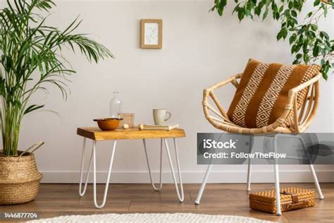 나무 안락 의자 많은 식물 컵 책 바구니 모형 사진 프레임 카펫 및 개인 액세서리가있는 우아하고 보헤미안 거실의 창조적 인 구성 아늑한 가정 장식 템플렛 칸 가구에 대한
