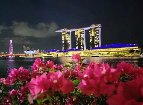 Md Touhidur Rahman Rad On Linkedin Visiting Singapore For Few Important Official Meeting