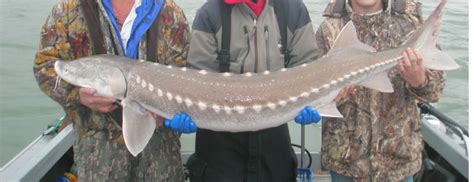 Opening Word Excel And Powerpoint Attachments In Outlook Minkatec