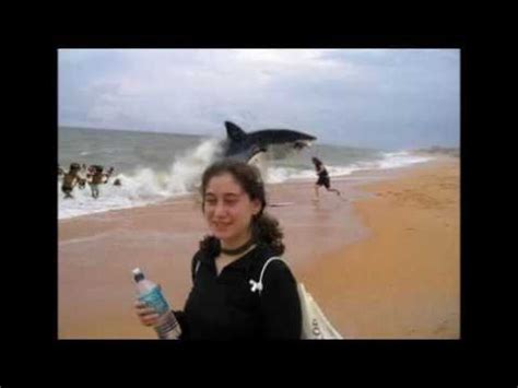 Human Compared To Megalodon The Human Race And Condition