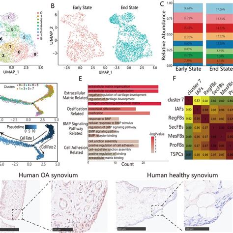 Construction Of An Expandable Mouse Single Cell Atlas A Datasets Download Scientific Diagram