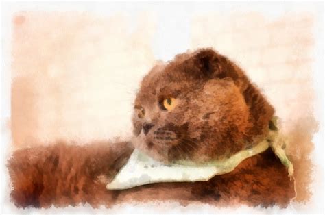 다양한 귀여운 고양이는 수채화 스타일 일러스트 인상파 그림을 포즈를 취합니다 갈색에 대한 스톡 벡터 아트 및 기타 이미지 갈색 개 귀여운 Istock