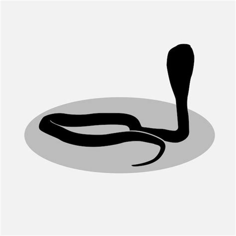 Premium Vector Snake Vector Png