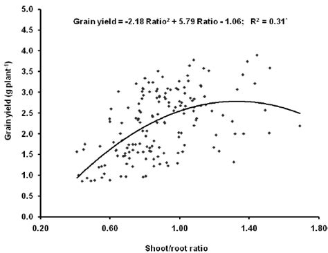 Relationship Between Grain Yield Per Plant And Shootroot Ratio Each