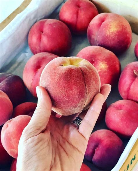 Celebrate Harvest Days With The Apple Hill Growers Apple Hill