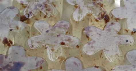 Blessed Homemaker Preserved Sour Plum Konnyaku Jelly