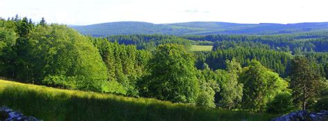 Kielder Forest Skyscape Walk Outdoor Excursion With Art