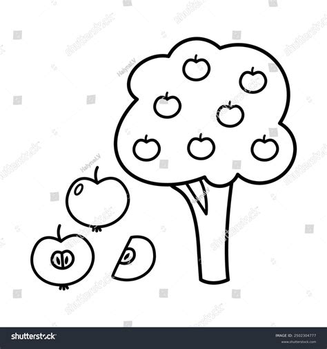 Apple Orchard Tree Fruit Vector Illustration Stock Vector Royalty Free