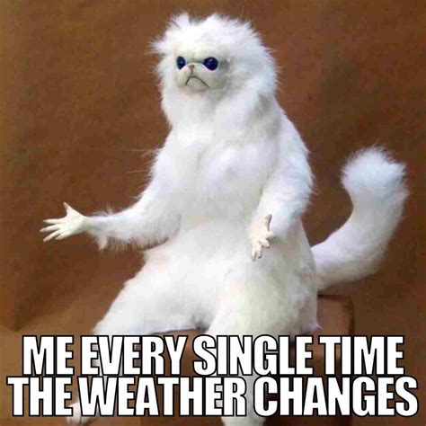 30 Epic Storm Memes Share When The Weather Goes Bonkers