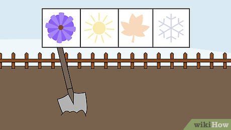 How To Grow Hostas 14 Steps With Pictures WikiHow Life